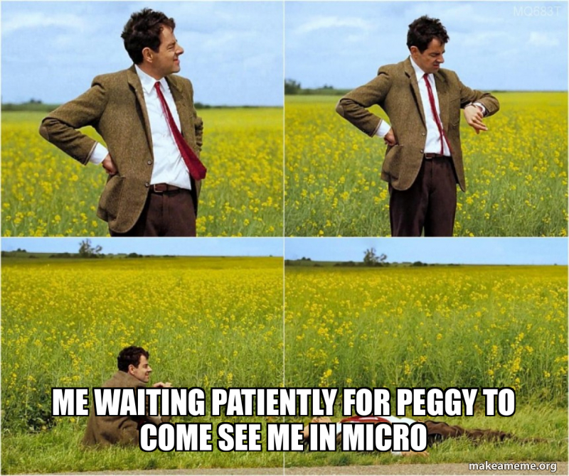 me waiting patiently for peggy to come see me in micro Meme Generator