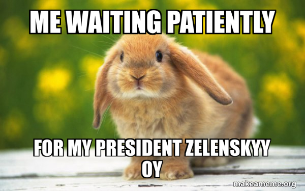 me waiting patiently for my president Zelenskyy oy - Regretful Rabbit ...
