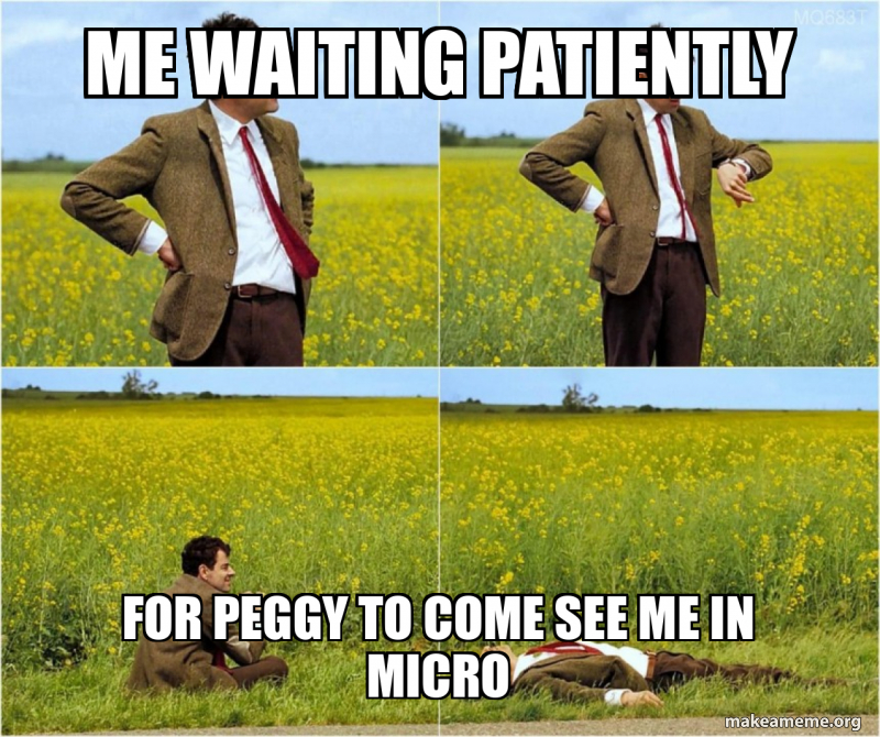 me waiting patiently for peggy to come see me in micro Meme Generator