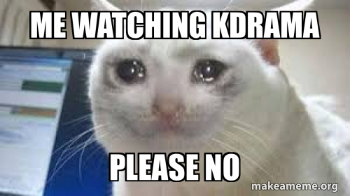 Me watching kDrama Please no - Cute sad cat Meme Generator