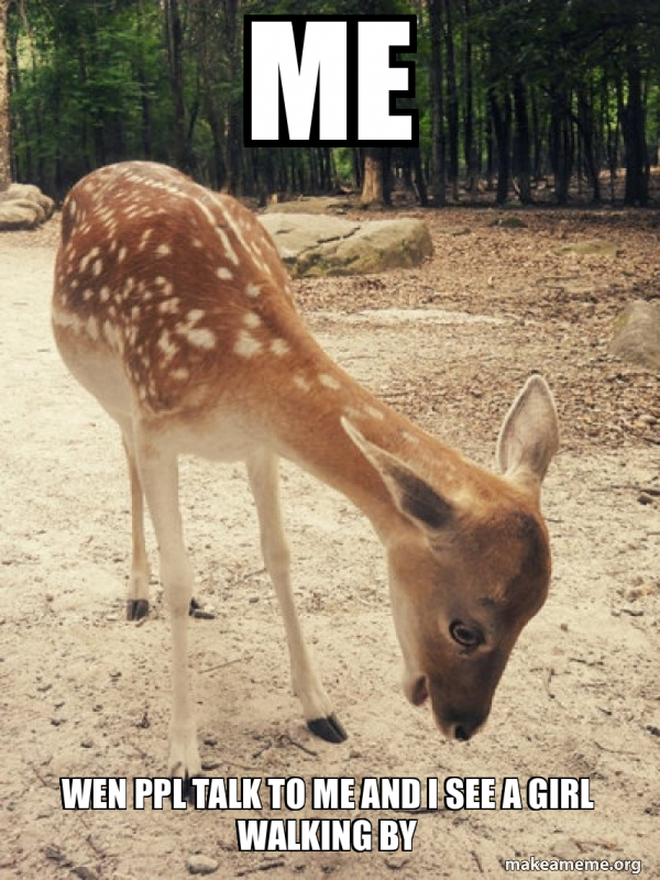me wen ppl talk to me and i see a girl walking by - O M G Deer Meme ...