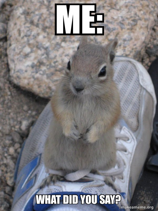 Me: What did you say? - Standover Squirrel Meme Generator