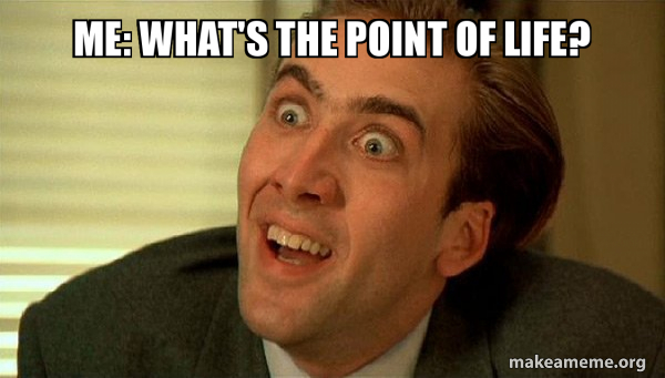 Me: What's the point of life? - Sarcastic Nicholas Cage Meme Generator