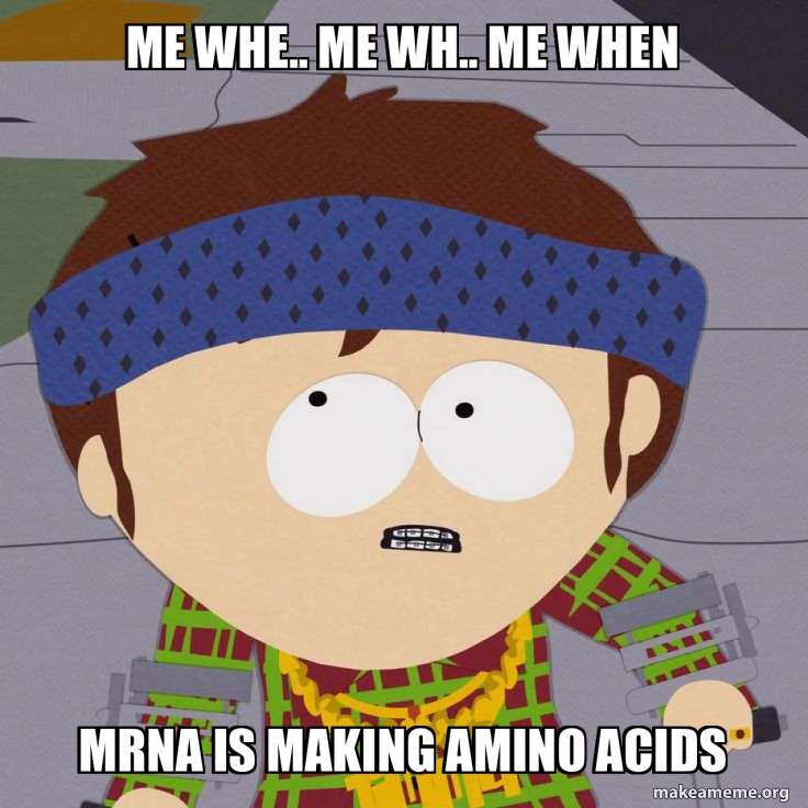 me whe.. me wh.. me when mrna is making amino acids Meme Generator