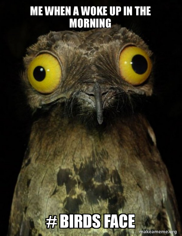 Freaky Morning Memes