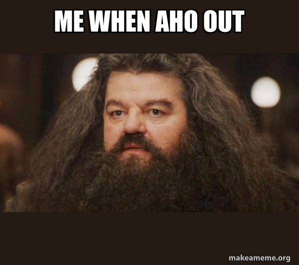 Me when AHO out - Hagrid - I should not have said that Meme Generator
