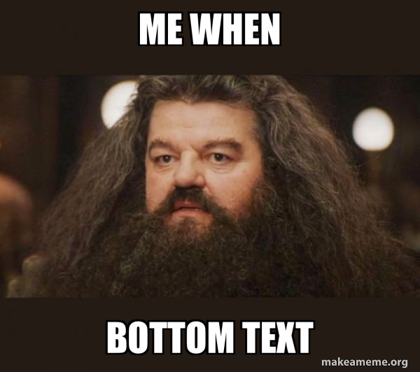 Me When Bottom Text - Hagrid - I should not have said that Meme Generator