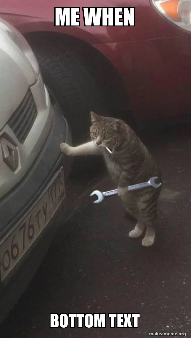 me when bottom text - Mechanic Cat Meme Generator