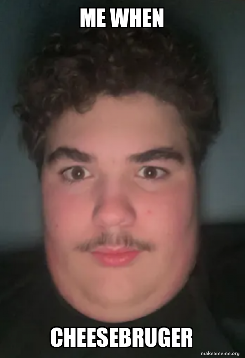 mE WHEN CHEESEBRUGER Meme Generator