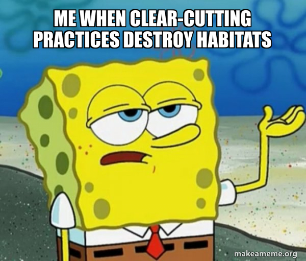 Me when clear-cutting practices destroy habitats - Tough SpongeBob Meme ...