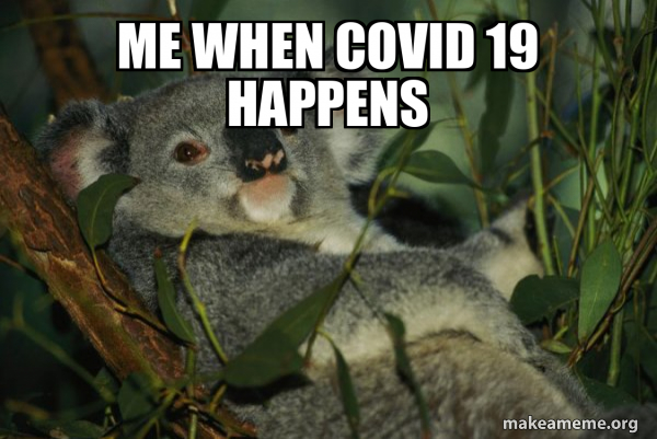 Me when covid 19 happens - Laid Back Koala Meme Generator