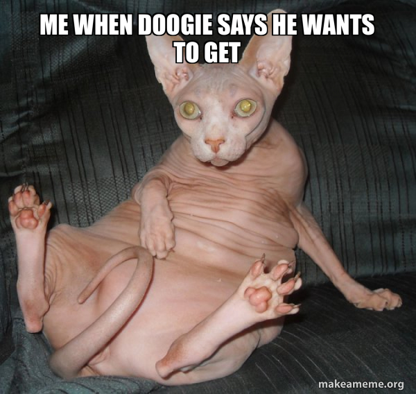Me when doogie says he wants to get - Hairless Cat Meme Generator