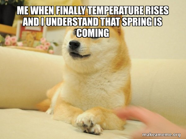 Me when finally temperature rises and I understand that spring is ...