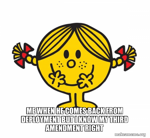 Me when he comes back from deployment but I know my third amendment ...