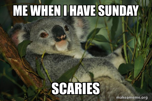 Me when I have Sunday Scaries - Laid Back Koala Meme Generator