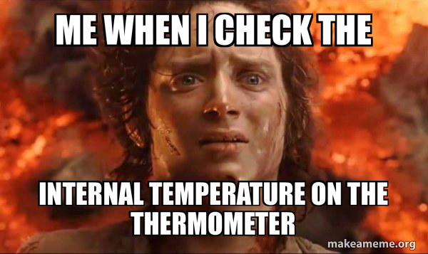Me when I check the Internal temperature on the thermometer - Frodo it ...