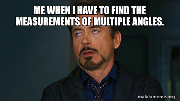 Me when I have to find the measurements of multiple angles. - Tony ...