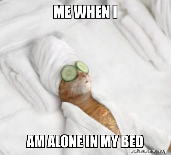 me when i am alone in my bed - Pampered Cat Meme Meme Generator