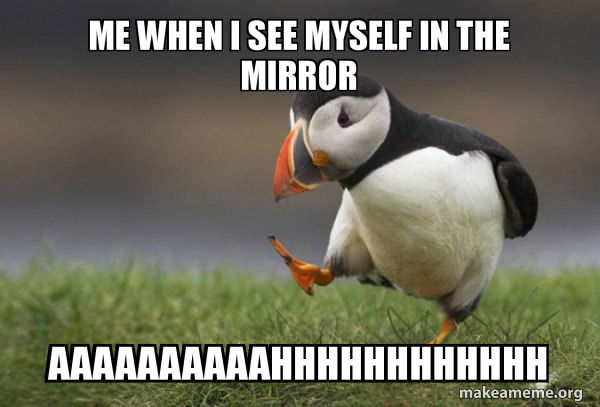 How I See Myself In The Mirror