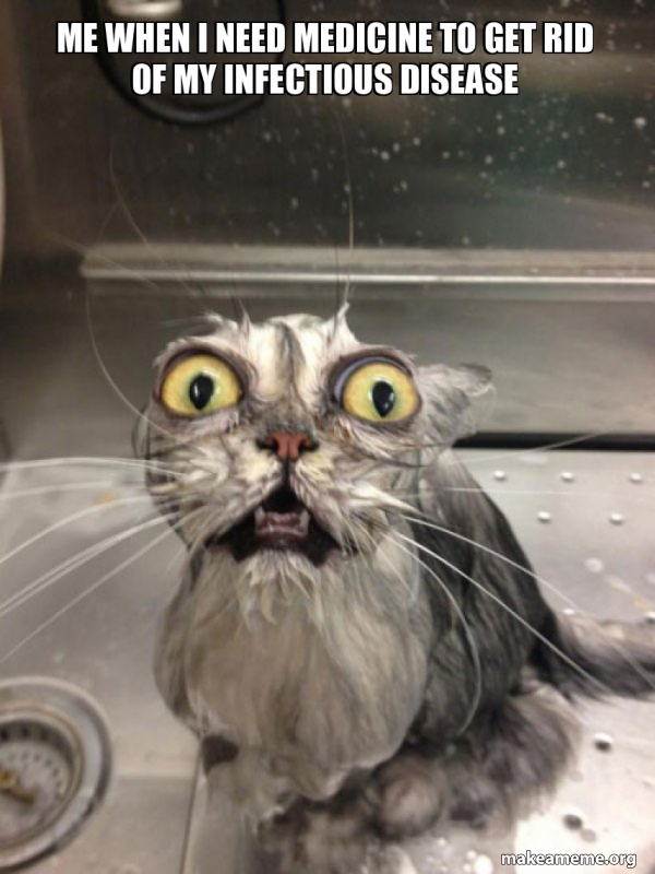 me when I need medicine to get rid of my infectious disease - Cat bath ...