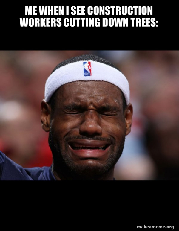 Me when I see construction workers cutting down trees: - Lebron Crying ...