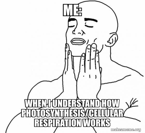 Me: When I understand how Photosynthesis/Cellular Respiration works ...