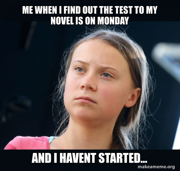 Me when i find out the test to my novel is on monday and i havent ...