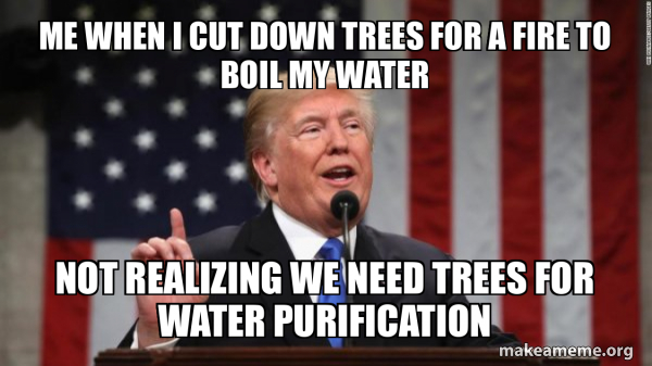 Me when I cut down trees for a fire to boil my water not realizing we ...