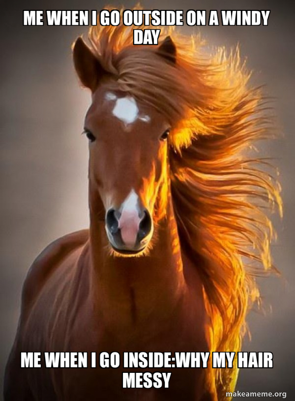 Me when I go outside on a windy day Me when I go inside:why my hair ...