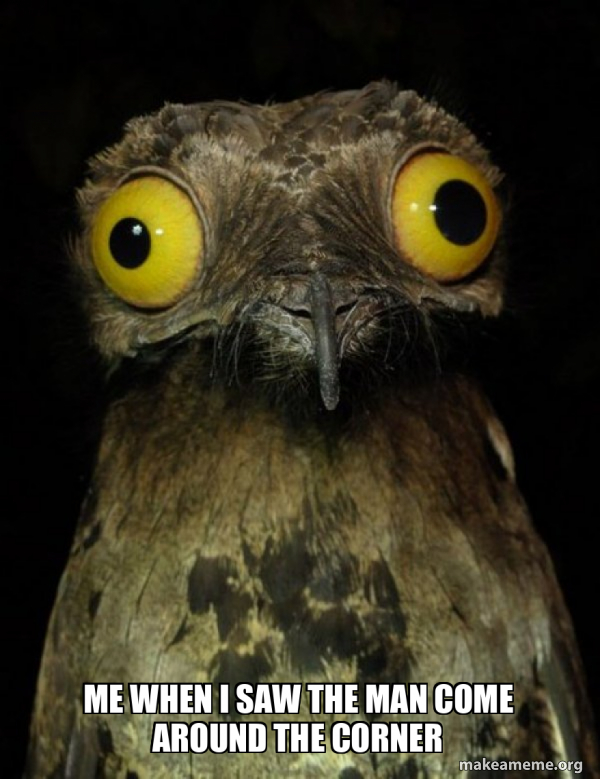 Me when I saw the man come around the corner - Weird Stuff I do Potoo ...