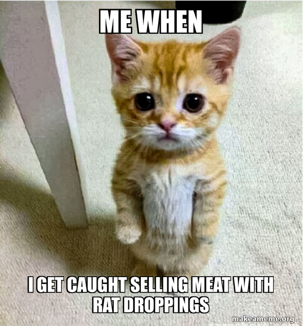 me when i get caught selling meat with rat droppings - Cute Cat ...