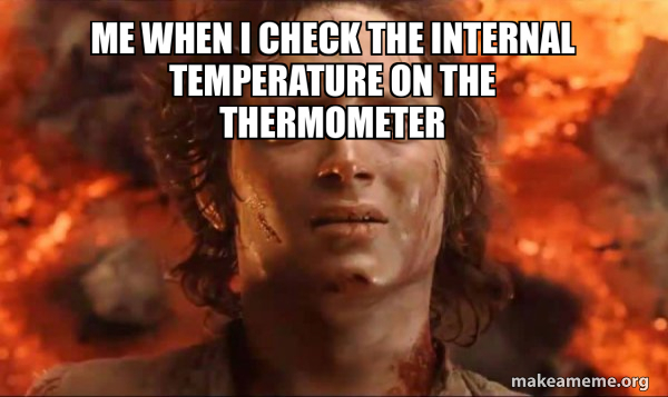 Me when I check the internal temperature on the thermometer - Frodo it ...