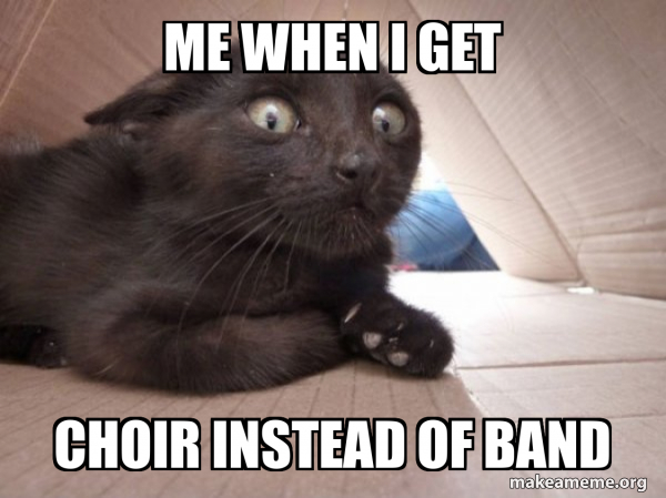 me when I get choir instead of band - Schitzo Cat Meme Generator