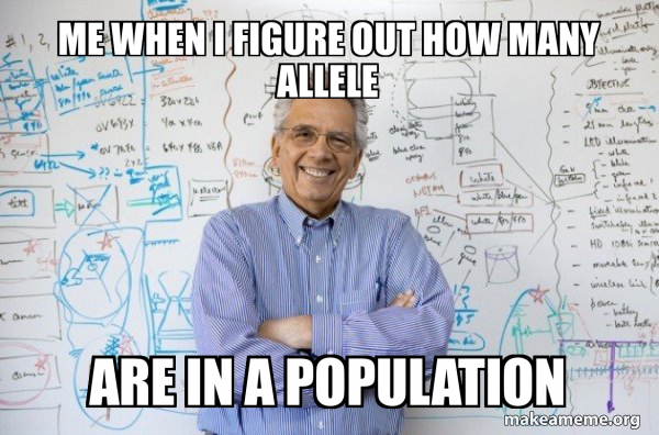 me when I figure out how many allele are in a population - Good Guy ...
