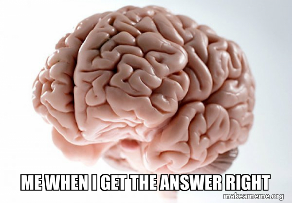 me when I get the answer right - Scumbag Brain Meme Generator