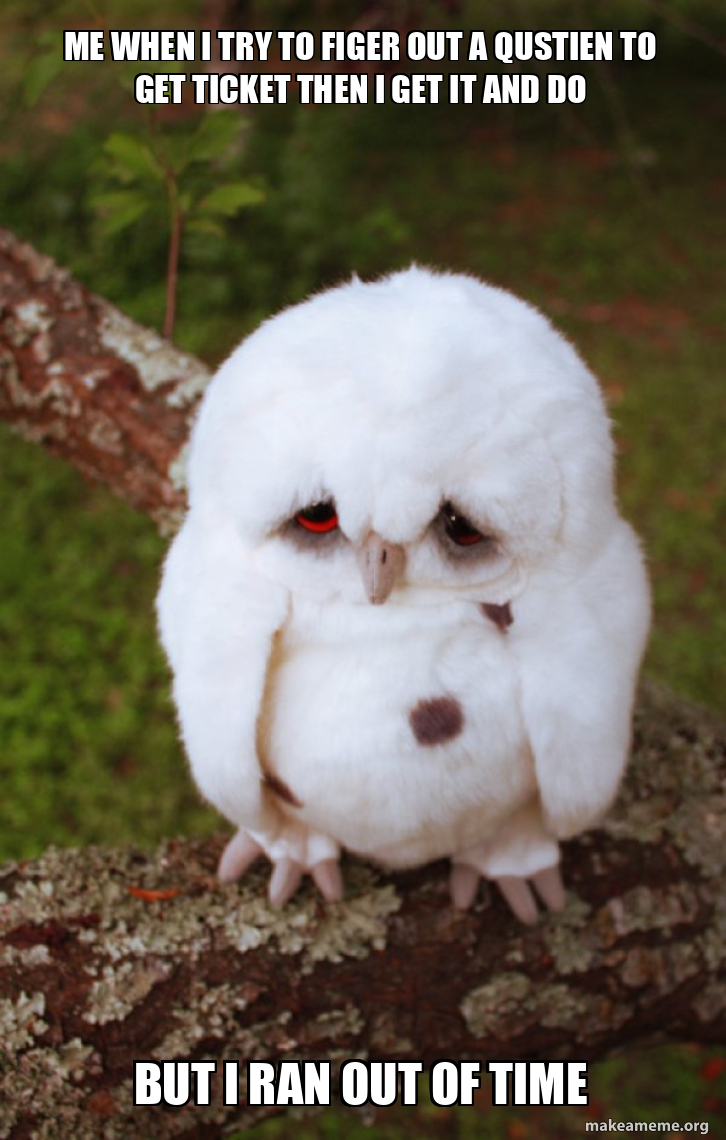 Me when i try to figer out a qustien to get ticket then i get it and do ...