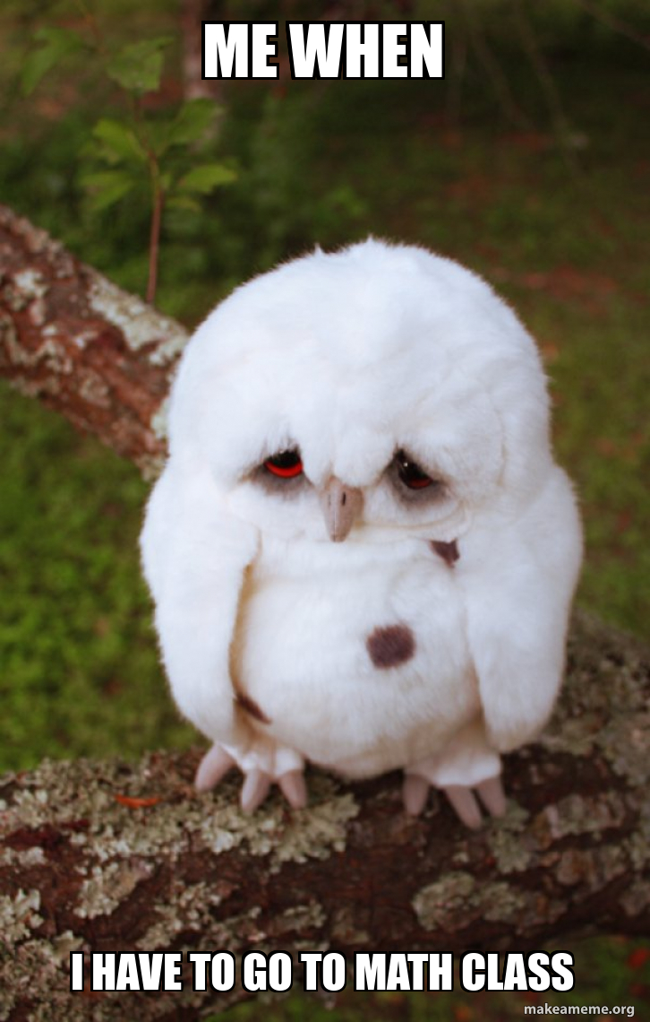 Me when I have to go to math class - Sad Owl Meme Generator