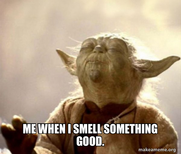Me when I smell something good. - Yoda Smell Meme Generator