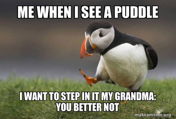 me when I see a puddle I want to step in it my grandma: you better not ...