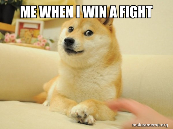 Me when i win a fight - Doge Meme Generator