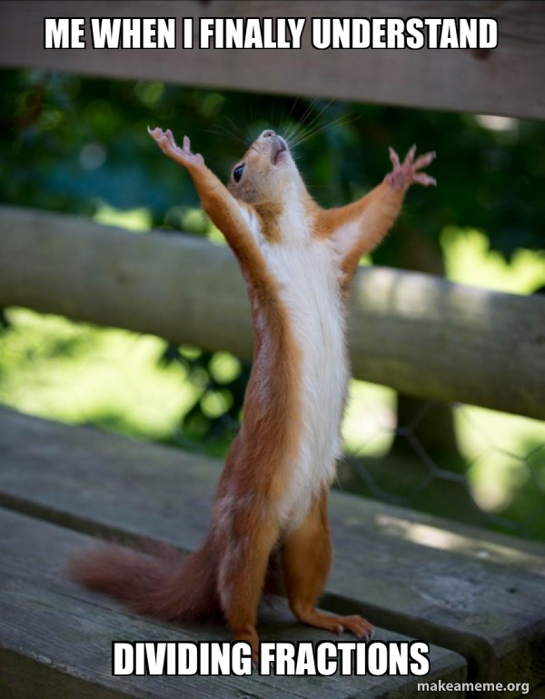 Me when I finally understand dividing fractions - Happy Squirrel Meme ...
