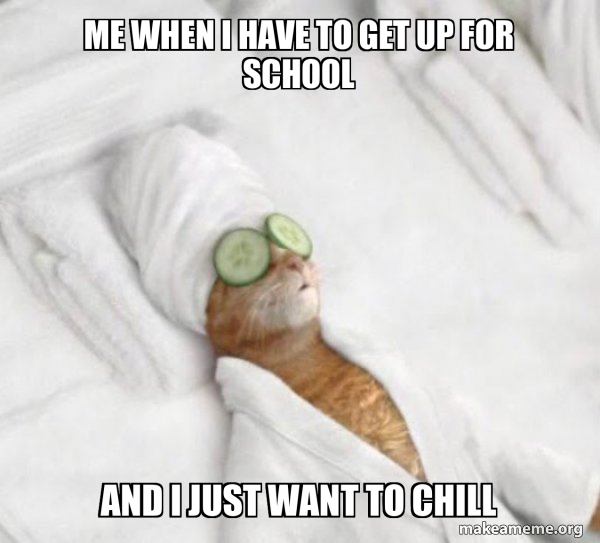 ME WHEN I HAVE TO GET UP FOR SCHOOL AND I JUST WANT TO CHILL - Pampered ...