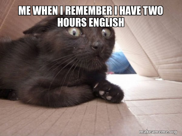 Me when I remember I have two hours english - Schitzo Cat Meme Generator