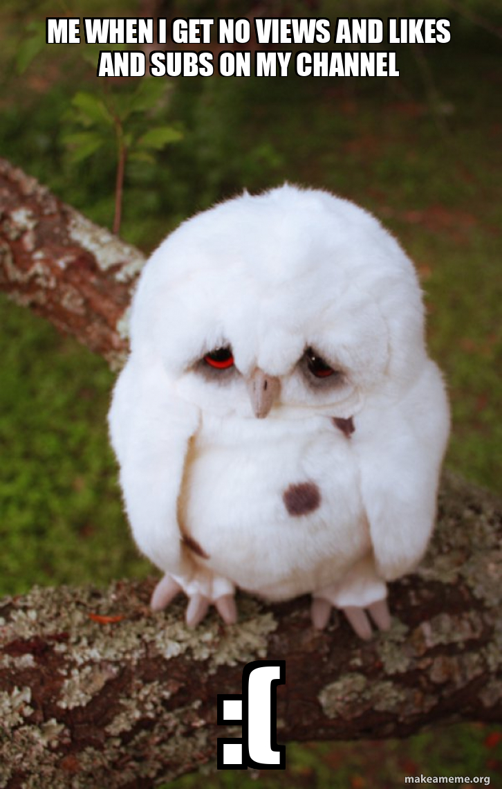 me when i get no views and likes and subs on my channel :( - Sad Owl ...