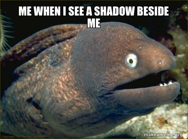 me when i see a shadow beside me - Bad Joke Eel Meme Generator