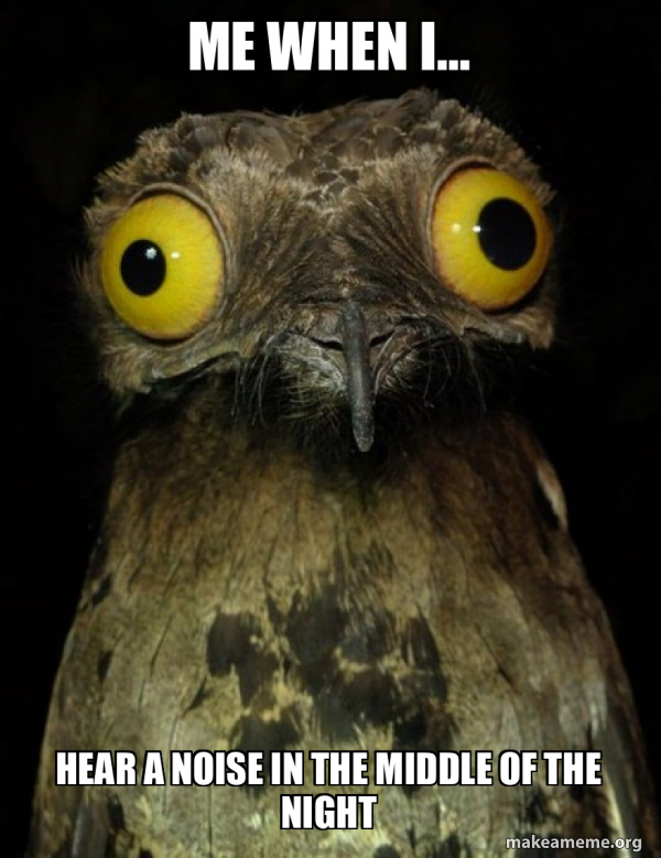 me when i... hear a noise in the middle of the night - Weird Stuff I do ...