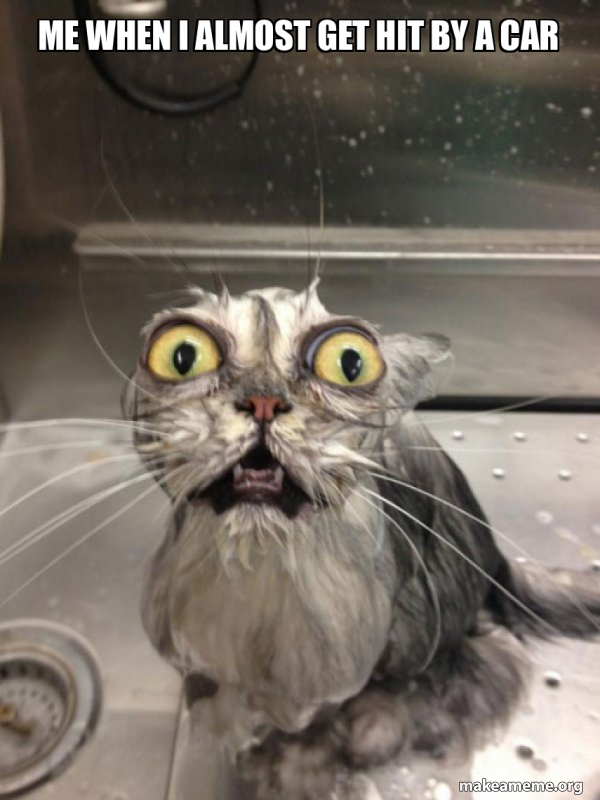 me when i almost get hit by a car - Cat bath Meme Generator