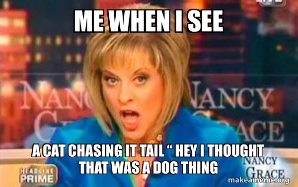 Me when I see A cat chasing it tail “ hey I thought that was a dog ...