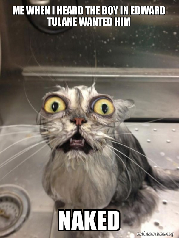 ME WHEN I HEARD THE BOY IN EDWARD TULANE WANTED HIM NAKED - Cat bath ...