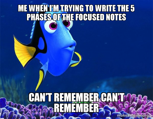 Me when Iâ€™m trying to write the 5 phases of the focused notes Canâ€™t ...